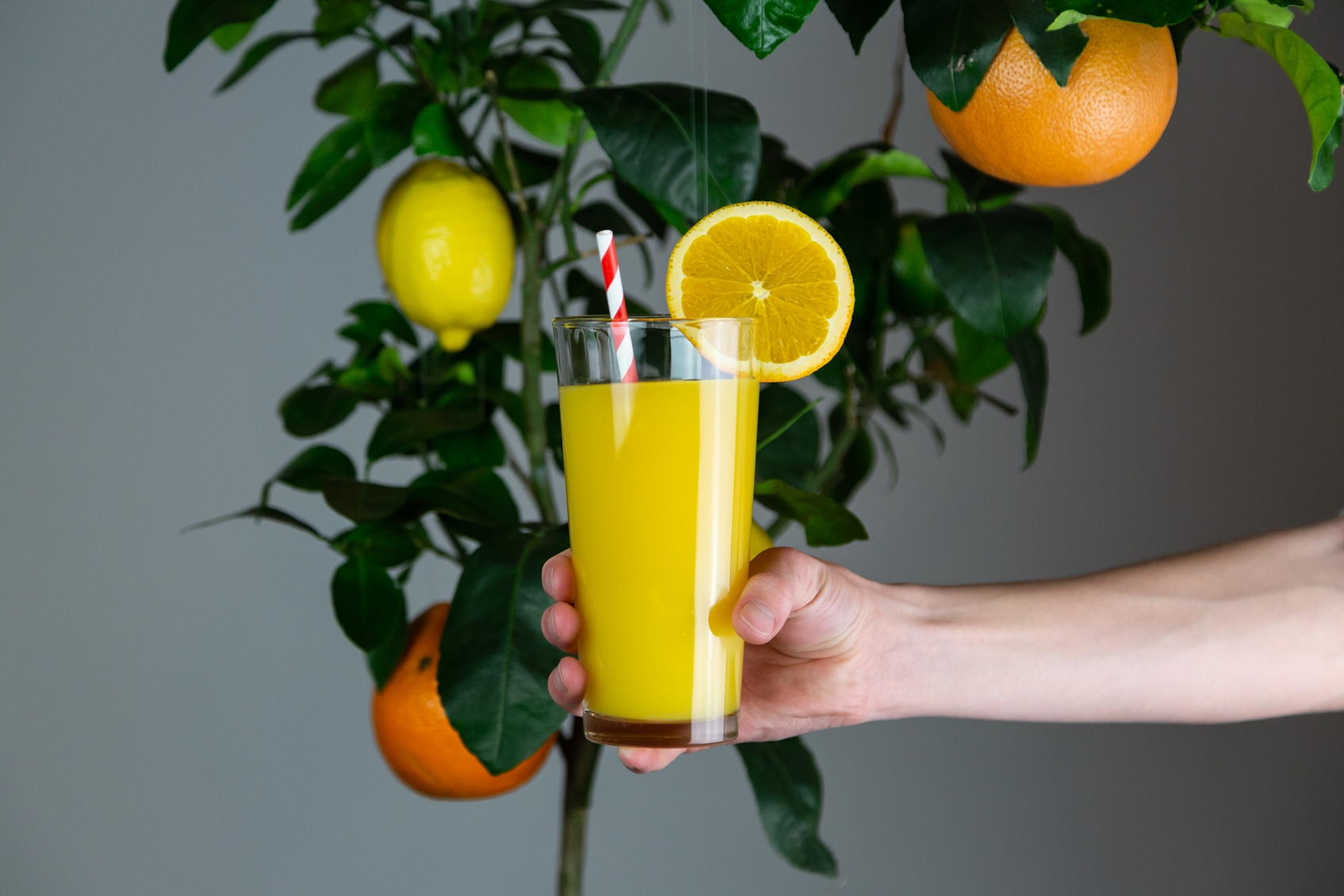 Trees – Branching Out